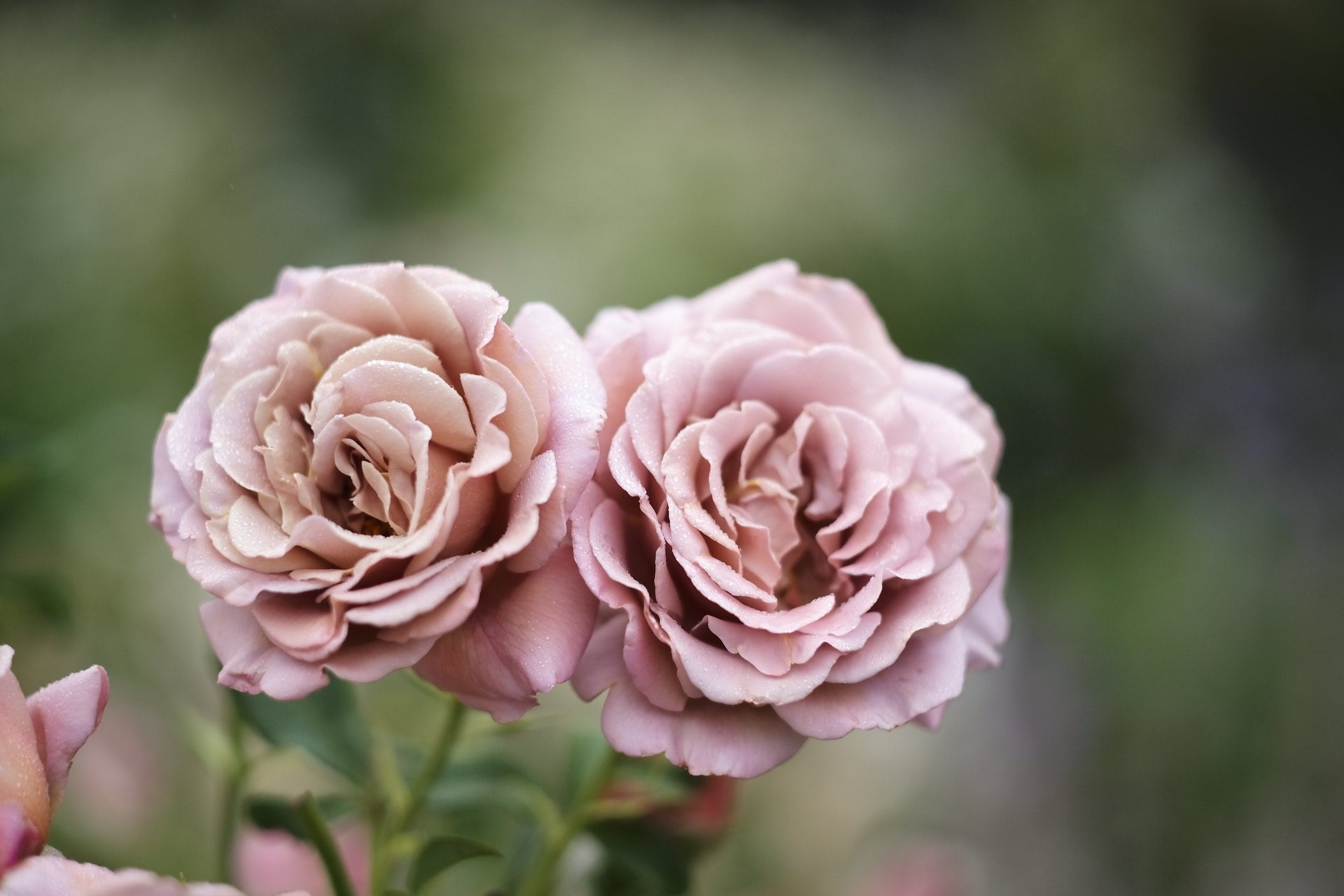 Holiday Healing, Triggers, and How to Embrace It All – Embrace the Light